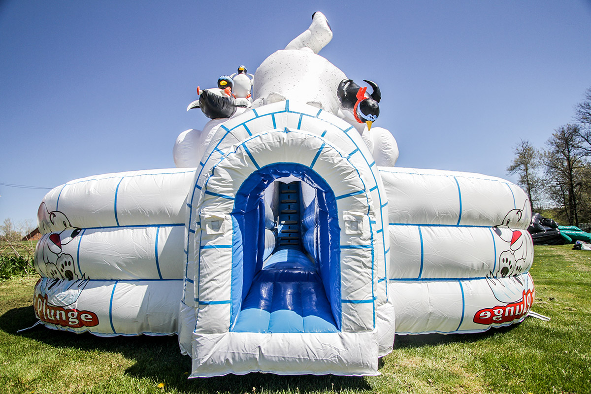 Polar Bear Slide Air Bounce Inflatables Party Rentals In Hamilton Polar Bear Slide Air Bounce Inflatables Party Rentals In Hamilton
